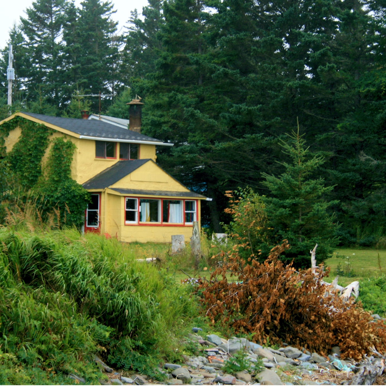 A Troubled Dream | Building in Concrete – Old Home Living